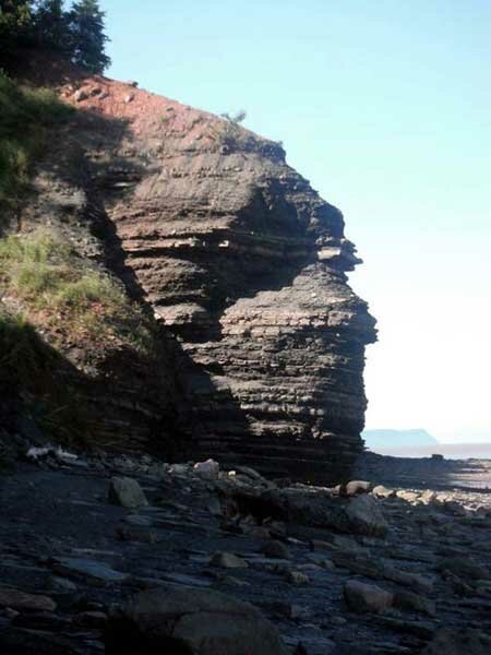 Blue Beach Fossil Museum